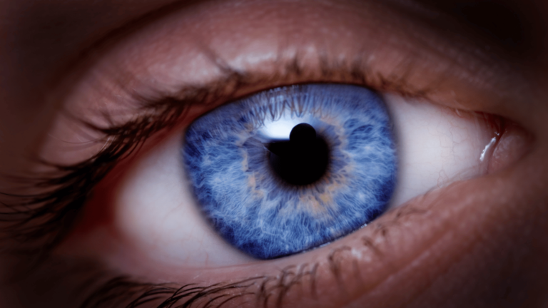 What Is a Refraction Eye Exam | Eye Institute of Austin